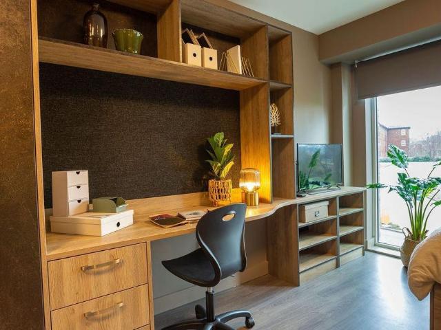 Studio to rent