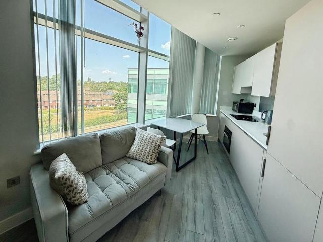 Studio to rent