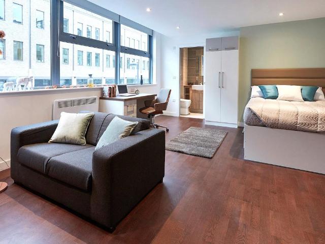 Studio to rent