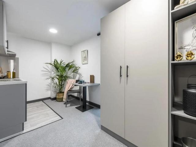 Studio to rent