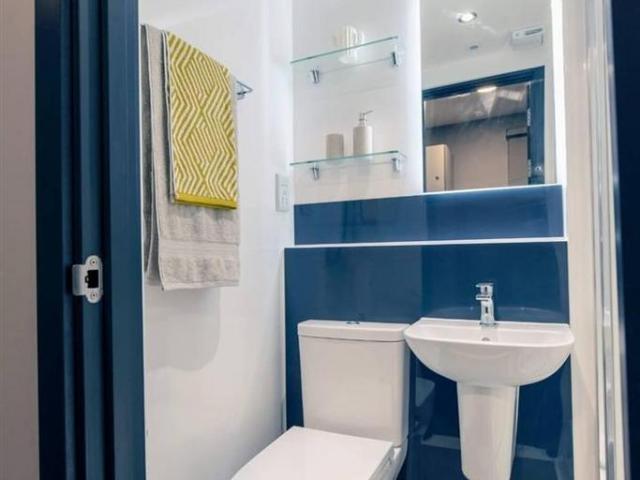Studio to rent