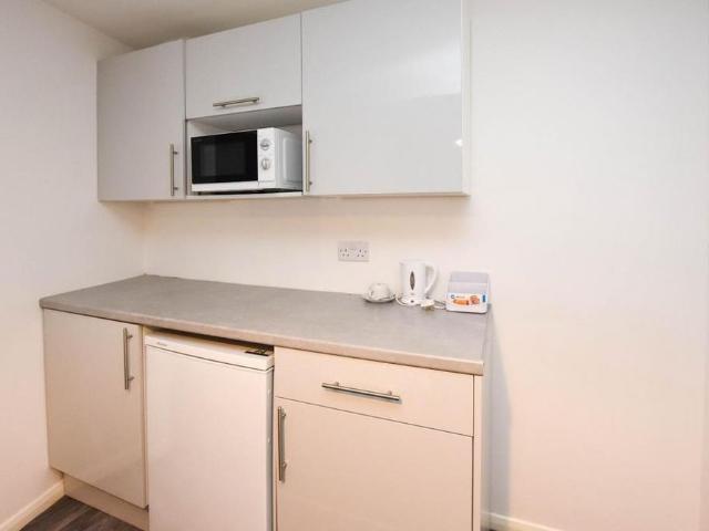 Studio to rent