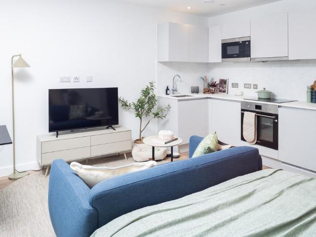 Studio to rent