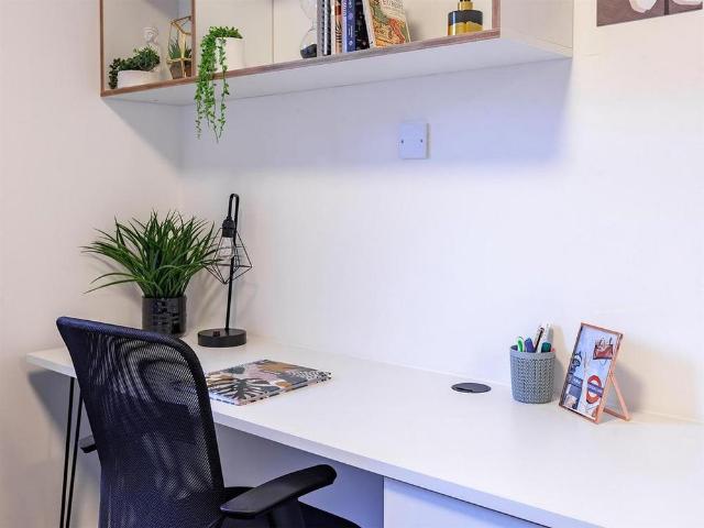 Studio to rent