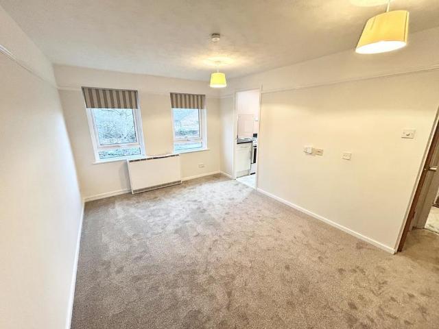 Studio to rent