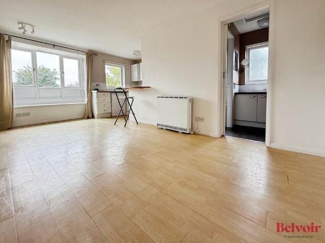 Studio to rent
