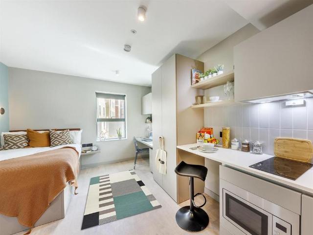 Studio to rent