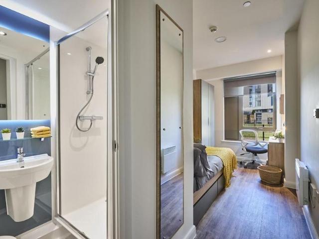 Studio to rent