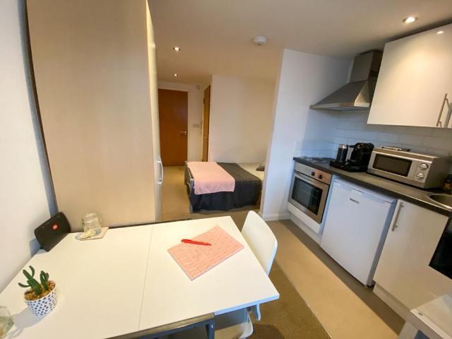 Studio to rent