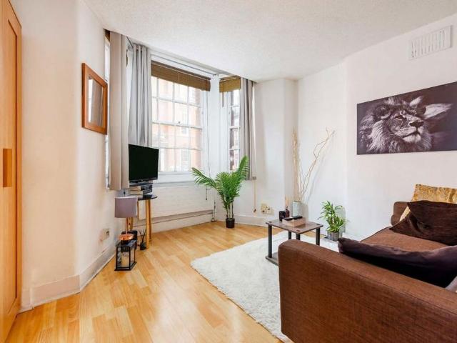 Studio to rent