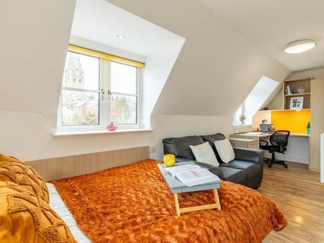Studio to rent