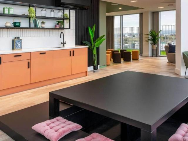 Studio to rent