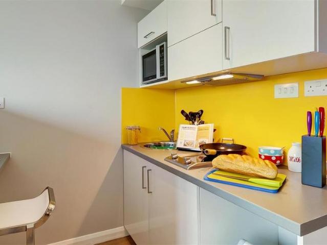 Studio to rent