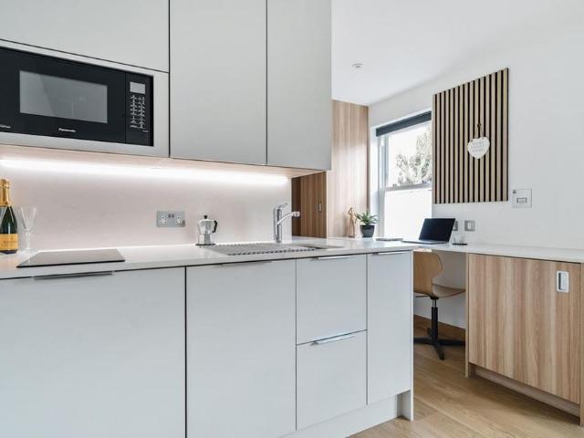 Studio to rent