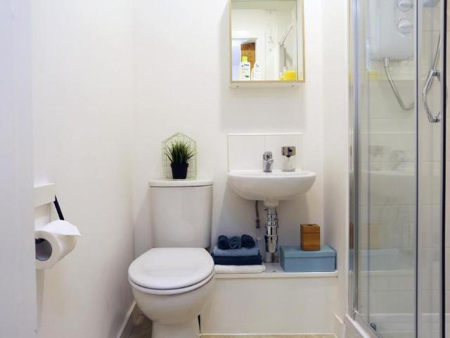 Studio to rent