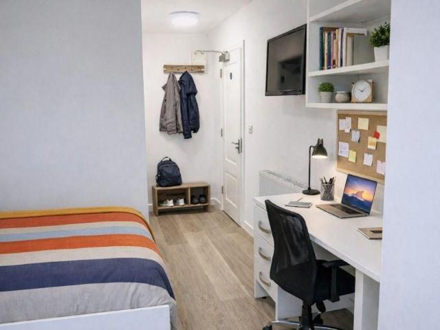 Studio to rent