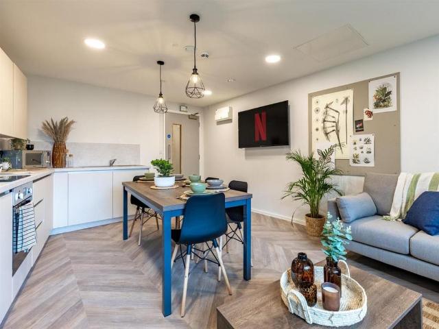 Studio to rent