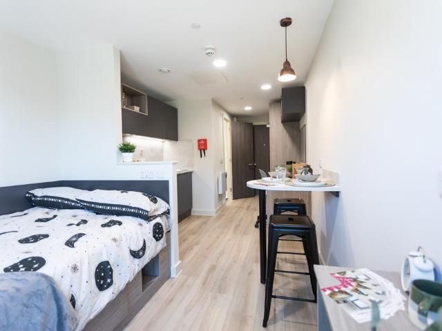 Studio to rent
