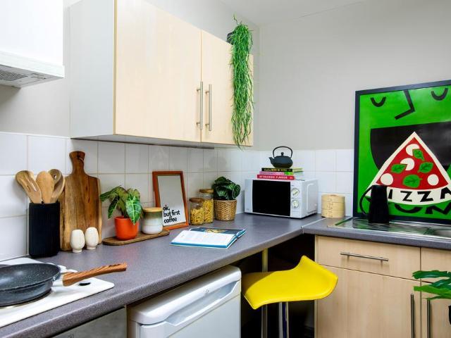 Studio to rent