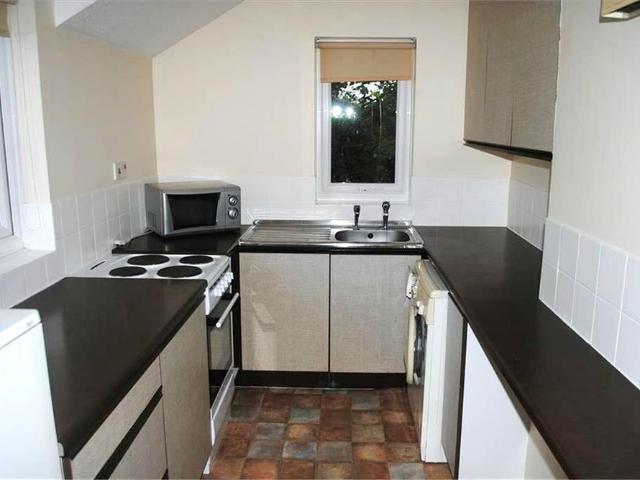 Studio to rent
