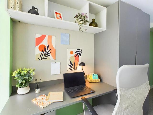 Studio to rent