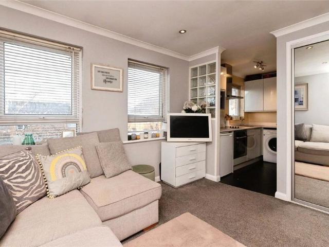 Studio to rent