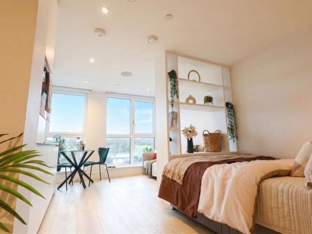 Studio to rent