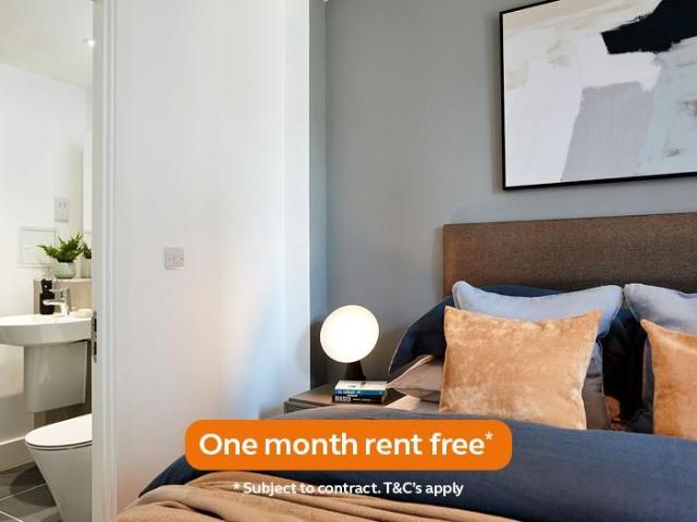 Studio to rent