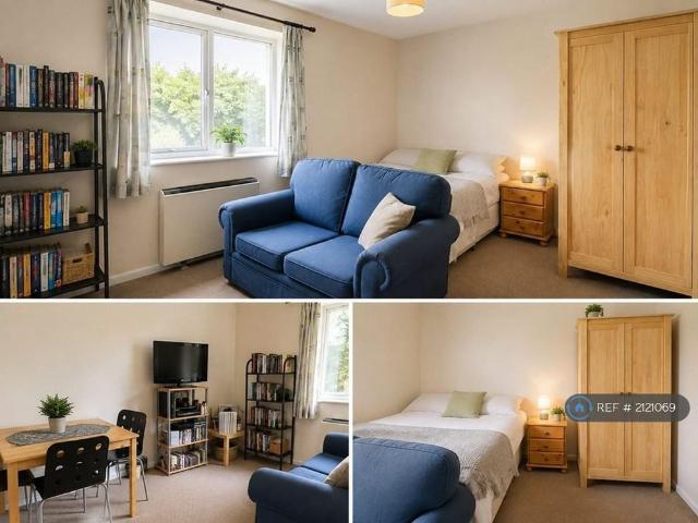 Studio to rent