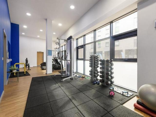 Studio to rent