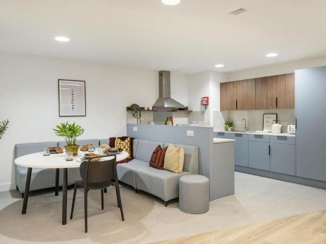 Studio to rent