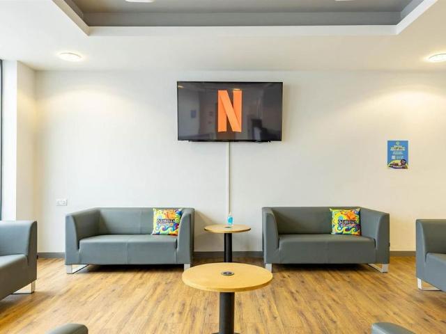 Studio to rent