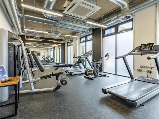 Studio to rent