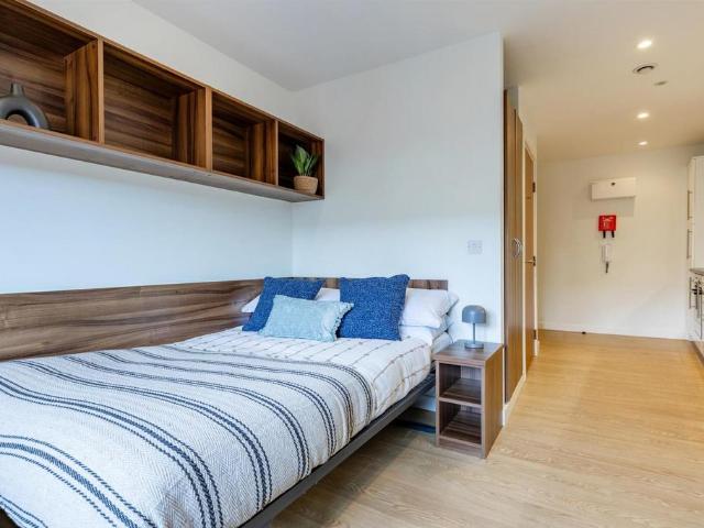 Studio to rent