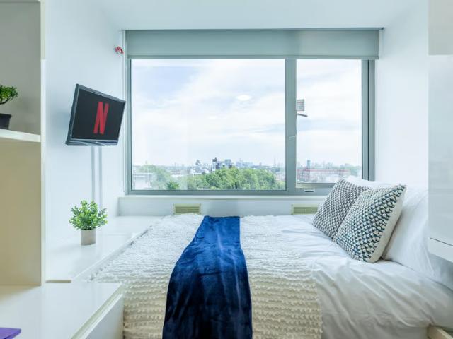 Studio to rent
