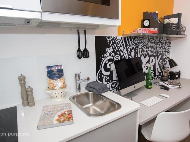 Studio to rent