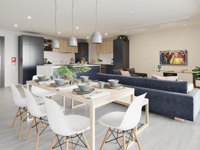 Studio to rent