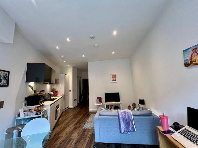 Studio to rent