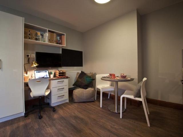 Studio to rent
