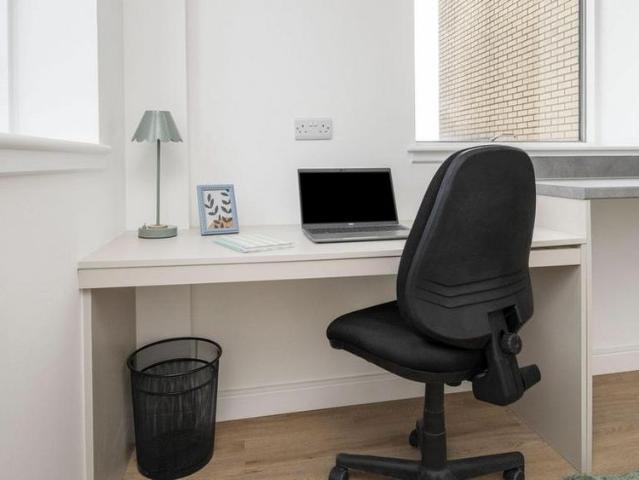 Studio to rent