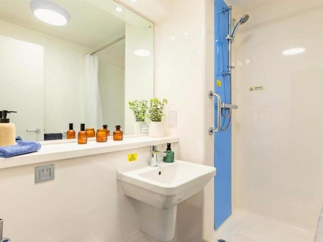 Studio to rent
