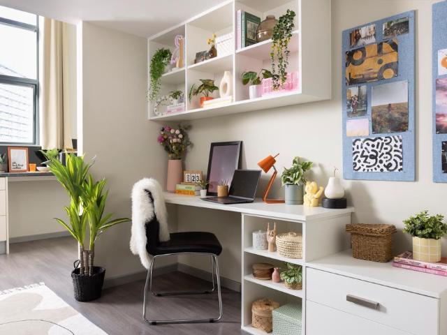 Studio to rent
