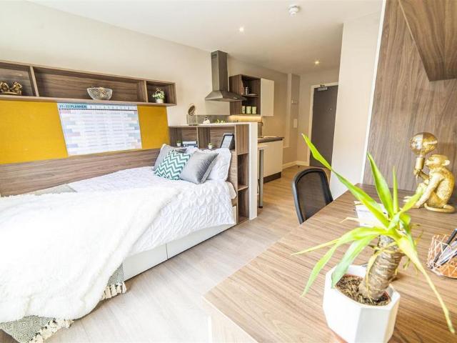 Studio to rent