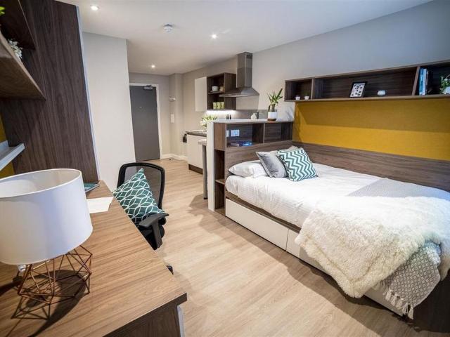 Studio to rent