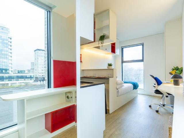 Studio to rent