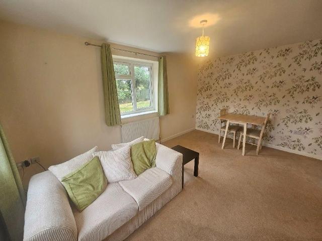 Studio to rent