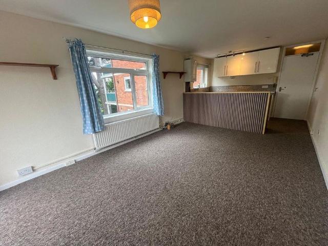Studio to rent