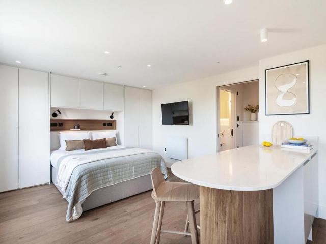 Studio to rent
