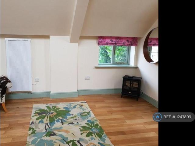 Studio to rent