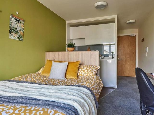 Studio to rent